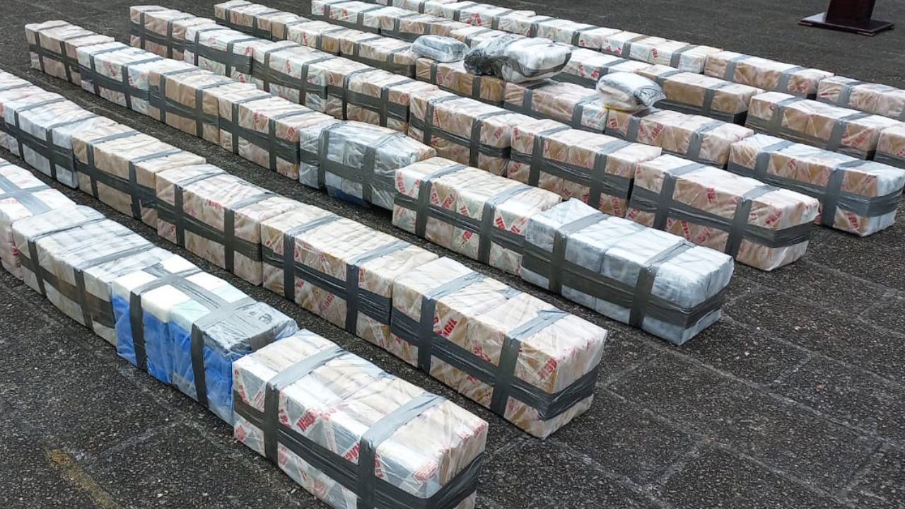 Producción De Cocaína Con Niveles Récord Onu 24 Horas